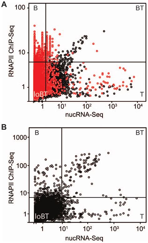 comparison between rnapii chip seq and nuclearrna seq coverage a