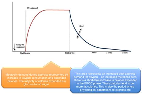 excess post exercise oxygen consumption epoc accuro