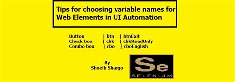 Standard Naming Convention For Ui Elements To Use With Selenium Locators
