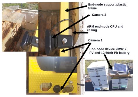 Proposed Varroa Mite Detection System End Node Device And Device Download Scientific Diagram