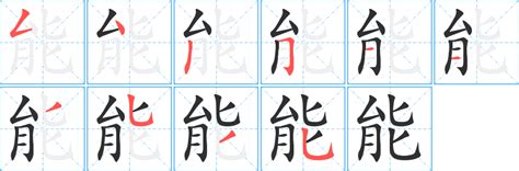 能字笔画笔顺笔划 能字怎么写