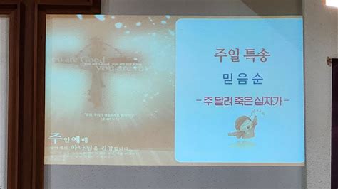 찬송가 149장 주 달려 죽은 십자가 Youtube