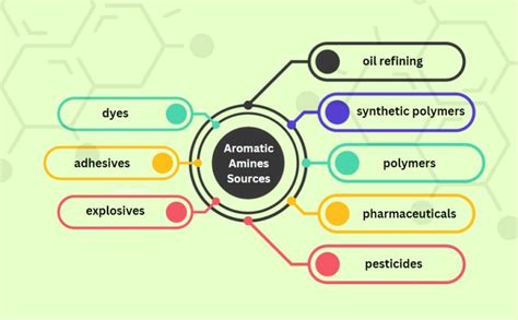 Are Aromatic Amines Carcinogenic What Do You Need To Know