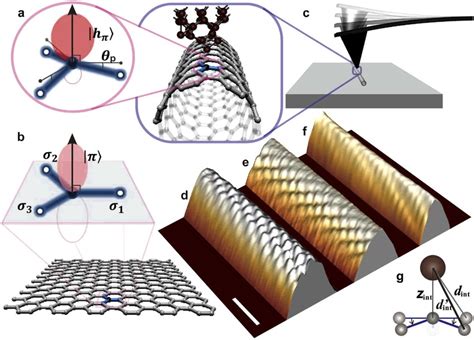 Atomic Scale Afm Imaging Of Convexly Curved Graphene With Different Download Scientific Diagram