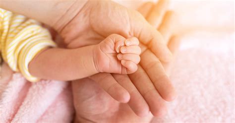 Barsel Til Mor Far Og Barnet Dansk Veterinærtidsskrift