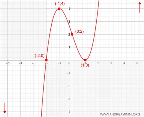 Esercizio Studio Della Funzione X X Andrea Minini
