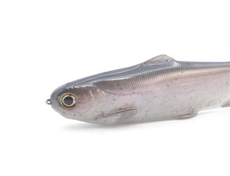 Tyrant 8 Trainwreck Working Class Zero