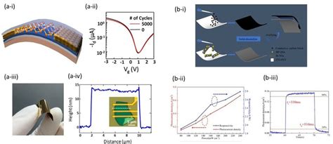 A Flexible Bp Fets On Flexible Pi Substrate I Schematic