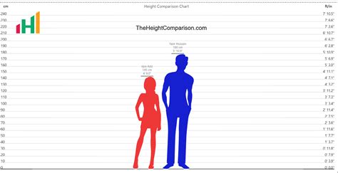 What Is The Ideal Height Difference In Romantic Relationships Theheightcomparison Medium