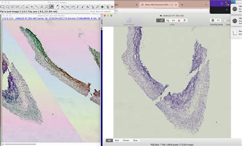 Problem With Nd2 Large Image Stitch Opening Strange With Bioformats On