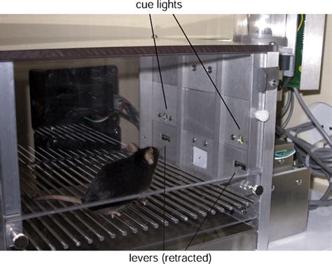 Figure 4 From An Inexpensive Arduino Based Led Stimulator System For Vision Research Semantic