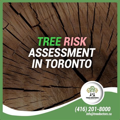 Contact Us Today To Schedule A Tree Risk Assessment With Our Highly Trained And Experienced