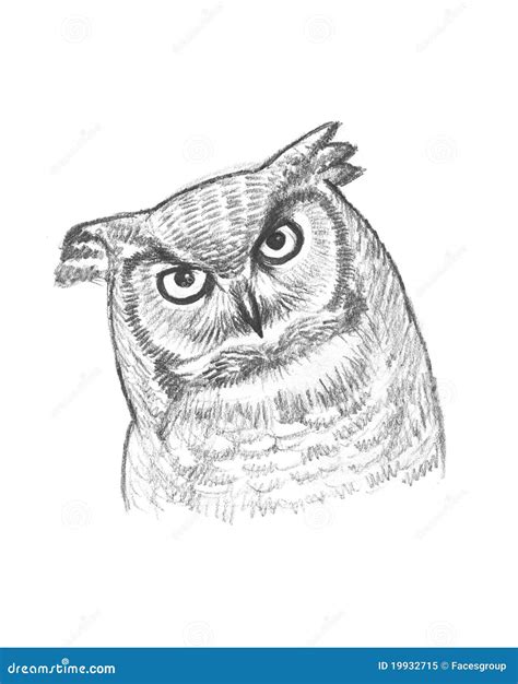 A Pencil Sketch Of An Owl Stock Illustration Illustration Of Closeup