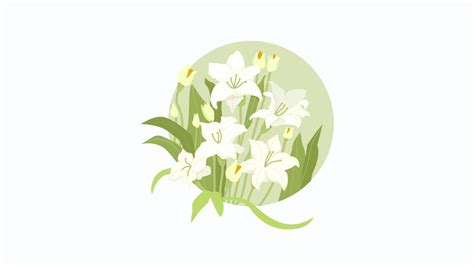 Cartoon Lily Flower Floral Animation Stock Video At Vecteezy