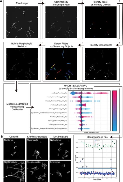 Publications Sexton Laboratory