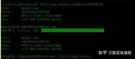 一行Python代码就可以下载任意网站视频零基础小白也能轻松学会 知乎