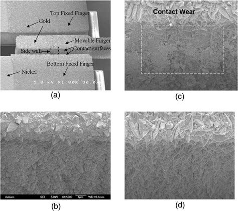Sem Picture Of The Rf Mems Relay Contacts A Open State Showing Contact