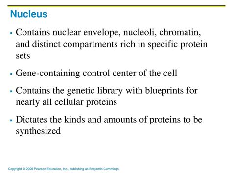 Cell Organelles Ppt Download