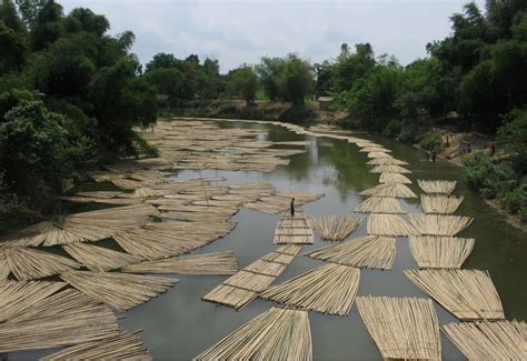 Wild Rafting On Bamboo Tours Trips Bangladesh