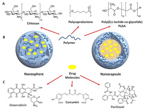 Example Of Some Of The Main Polymer Building Blocks A Employed For Download Scientific