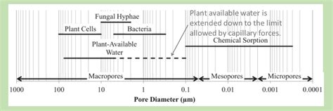 The Properties Of Fresh And Aged Biochar Biochar For Sustainable Soils