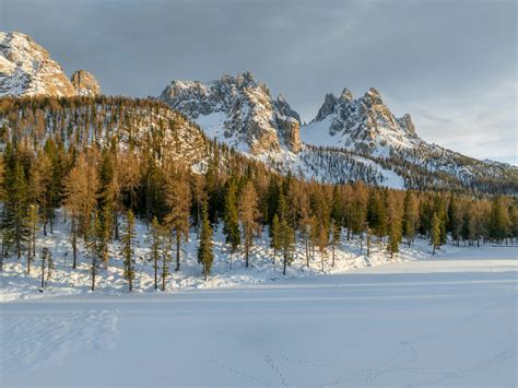 나무와 산을 배경으로 눈 덮인 들판 사진 Unsplash의 설원 이미지