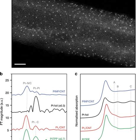 Pdf Atomically Dispersed Pt N4 Sites As Efficient And Selective Electrocatalysts For The