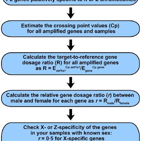 PDF Molecular Sexing Applicable In 4 000 Species Of Lizards And Snakes From Dream To Real