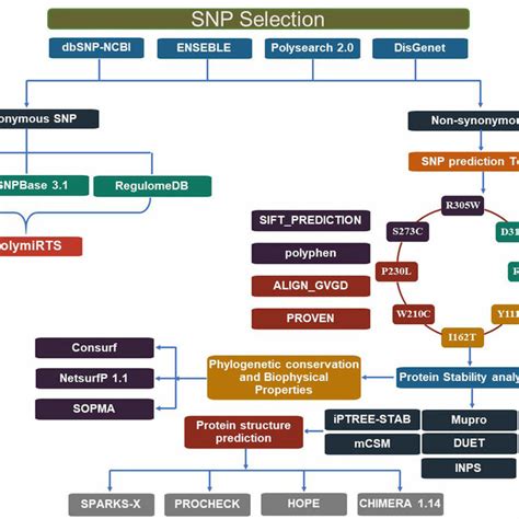 graphical representation of different computational tools used for the