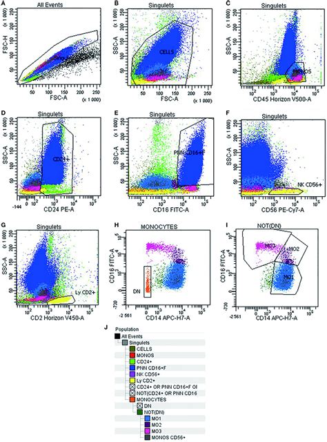 Flow Cytometry Gates