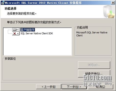 安装 SQL Server 客户端驱动程序 CTO博客 该驱动程序不支持 sql server 版