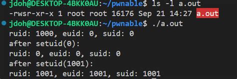 Linux Kernel Ruid Euid Suid
