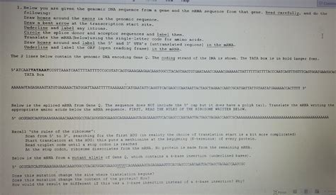 Solved Help Below You Are Given The Genomic DNA Sequence Chegg
