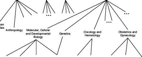 Subject Hierarchy Topics Learned By The Topic Model Are Located Download Scientific Diagram