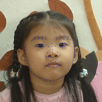 Human Face Landmark Detection In TensorFlow Using Pre Trained MobileNetv Idiot Developer