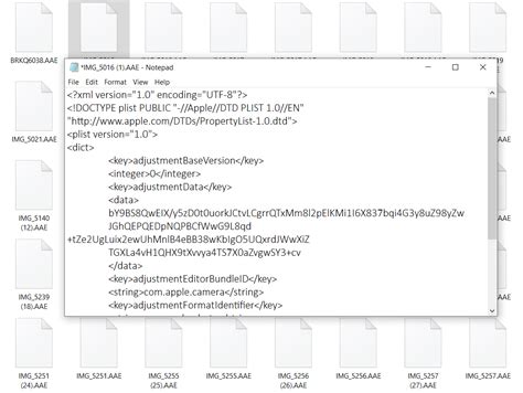 What Is AAE File Extension How To Open AAE Files TechCult