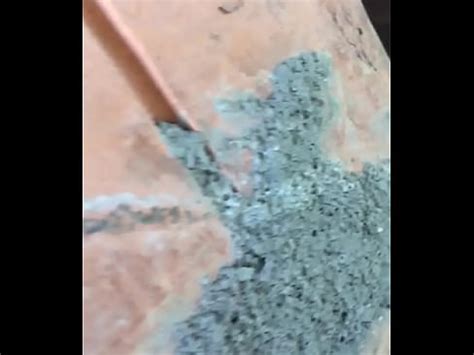 Quay L N Xvideos Com