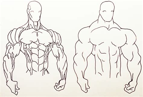 Muscular Man Pose Reference Muscle Anatomy Posing Bodhidwasuio 18352