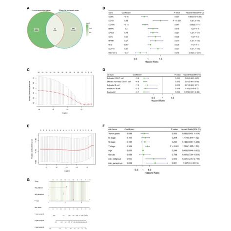 Construction Of The Prognostic Immune Clinical And Pathological Model