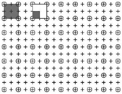 A Combined Point Counting Grid With ¼ Area Fraction While An Encircled