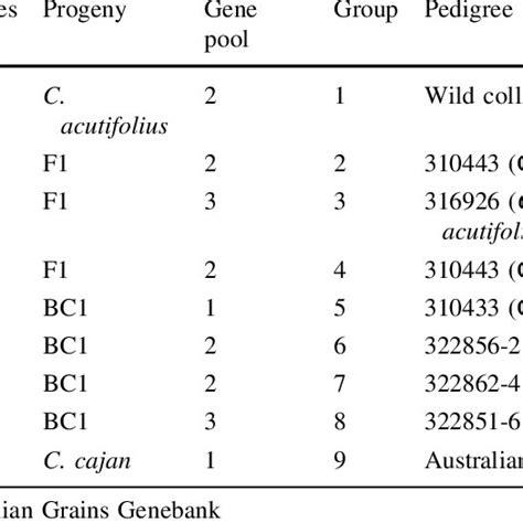Field Layout Of Rcbd With Different Varieties V1 V2 V3 V4 V5 And V6 Download Scientific