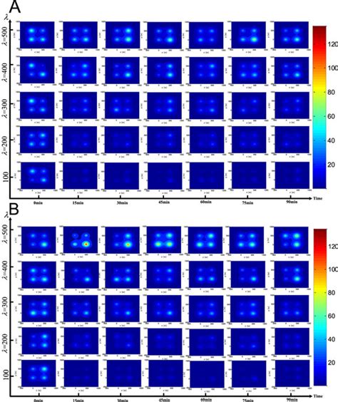 Evolution Of The Small Scale Traffic Network With The Bio Inspired Download Scientific Diagram