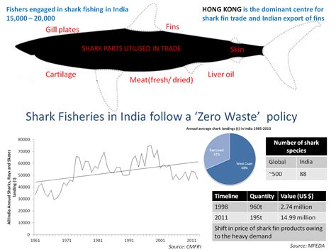 Shark Finning Diagram