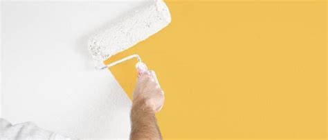 Silikatfarbe Innen Test Und Vergleich 2026 Weltde