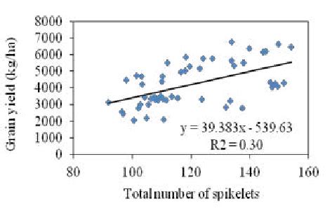 Linear Regression Between 1000 Grain Weight And Grain Yield Download Scientific Diagram