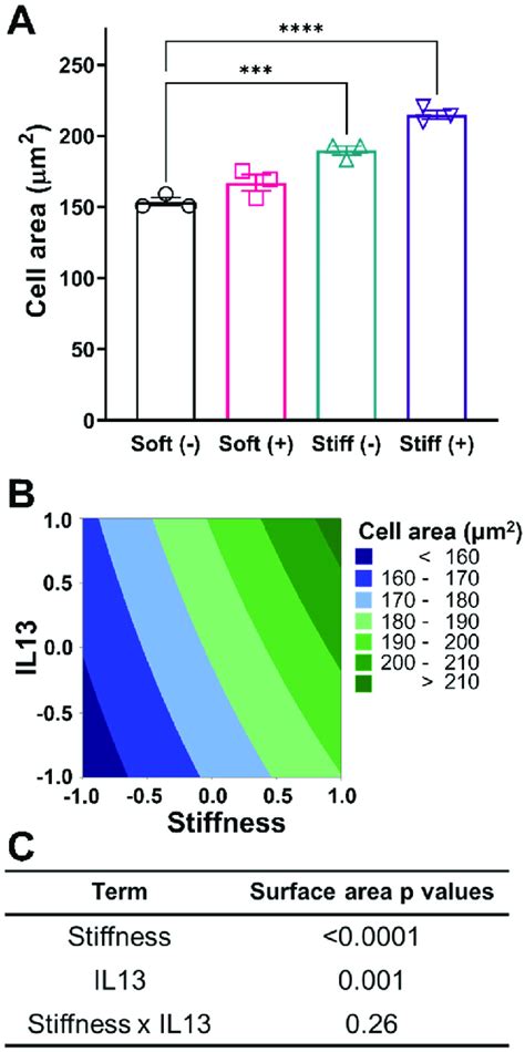 Effect Of Fibrotic Cues On Cell Morphology And Associated Doe Analysis