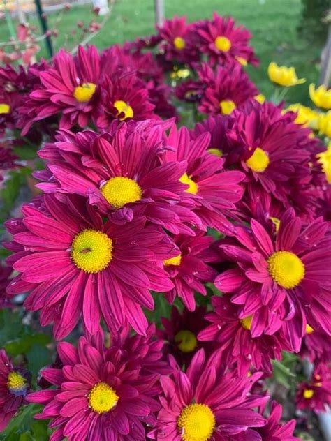 Клуб „Цифрова фотография“ Професионална гимназия по селско стопанство Нова Загора