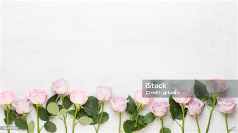꽃 발렌타인 데이 구성 회색 배경에 분홍색 장미로 만든 프레임 플랫 레이 상단 보기 복사 공간 0명에 대한 스톡 사진 및 기타 이미지 Istock