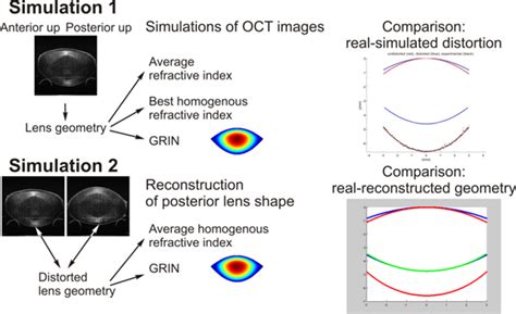 Schematic Diagram Of The Methods Used In The Simulations In Simulation