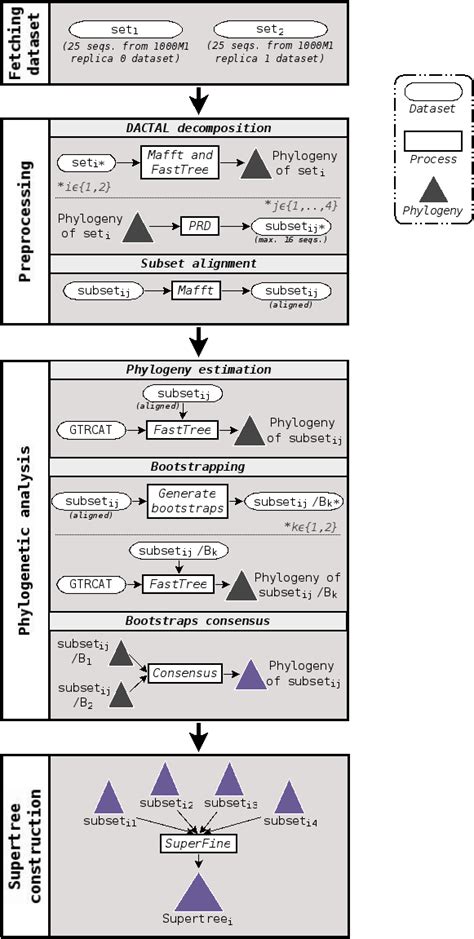 Workflow Of The System Developed To Test Phyloflow For An Example Of 50